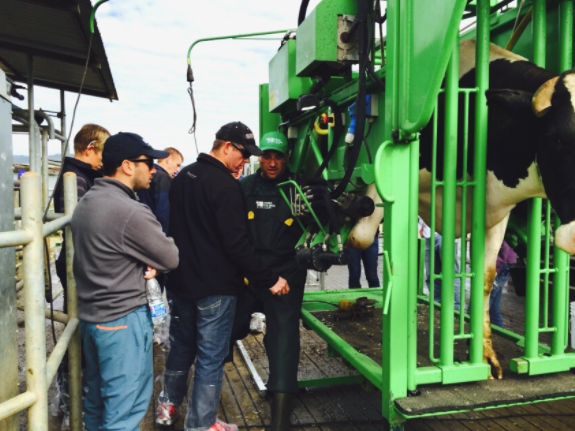 NOTICIAS BORKERT 2015