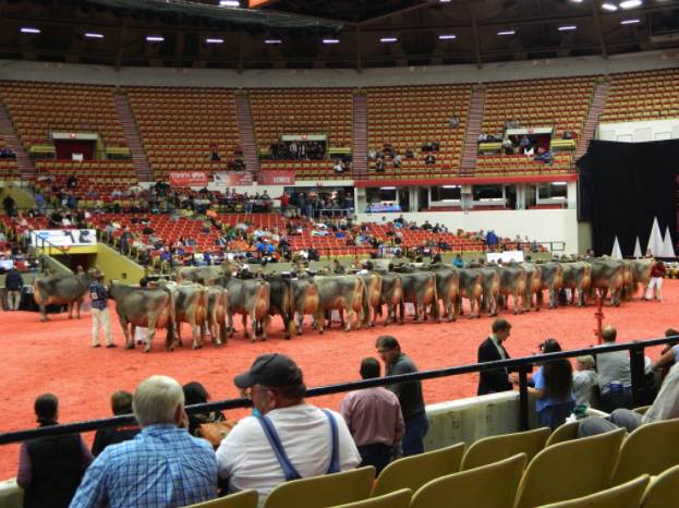 NOTICIAS BORKERT 2014